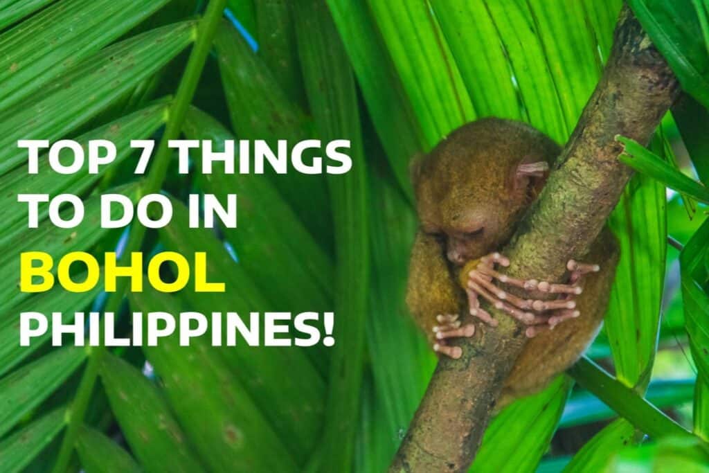 Top 7 Things to Do in Bohol, Philippines (2025 - 2026) 🇵🇭 | Chocolate ...